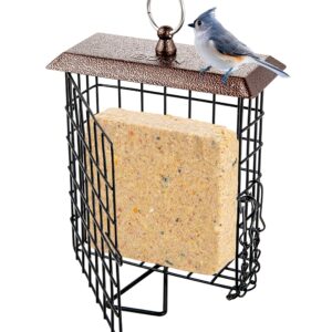 iBorn Suet Feeder Suet Bird Feeders for Outside Hanging,Squirrel Proof Suet Cakes Bird Feeder for Wild Birds,Metal Brown(Pack of 1)