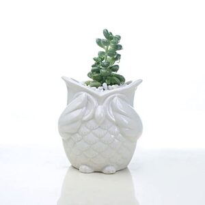 YONGYAN Owl Flower Pot Statue Decoration Ceramics Garden Planters Containers Pot Bookshelf Office Desktop Decor