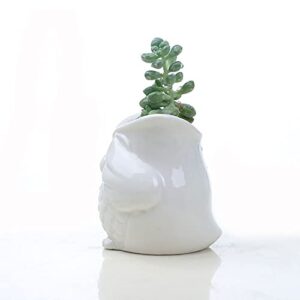 YONGYAN Owl Flower Pot Statue Decoration Ceramics Garden Planters Containers Pot Bookshelf Office Desktop Decor