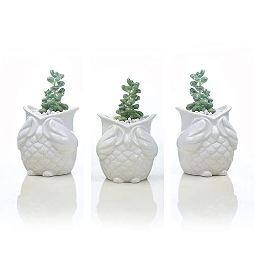 YONGYAN Owl Flower Pot Statue Decoration Ceramics Garden Planters Containers Pot Bookshelf Office Desktop Decor