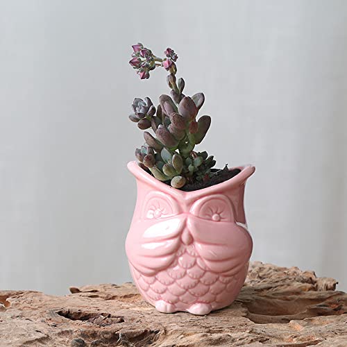 YONGYAN Owl Flower Pot Statue Decoration Ceramics Garden Planters Containers Pot Bookshelf Office Desktop Decor (Pink)