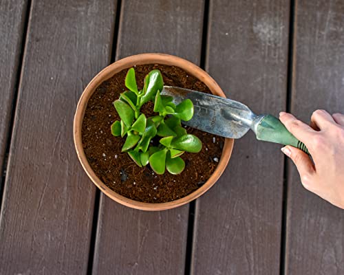 Jade Plant Potting Soil Mix (8 Quarts), Hand Blended Additive for Jade Succulents