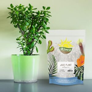 Jade Plant Potting Soil Mix (8 Quarts), Hand Blended Additive for Jade Succulents