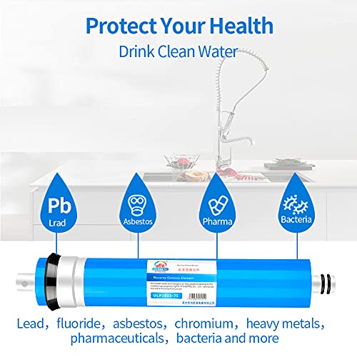 Cxztcl RO Membrane Replacement 100GPD Water Filter Cartrige Reverse Osmosis Membrane Replacement for Household Under Sink Water Purifier