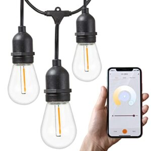 newhouse lighting 48ft. 15-socket led string remote controlled outdoor lights,smart life app works with alexa dimmable outdoor patio accessories with timer,s14 e26,30w,2700k,black,smstring15