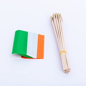 TSMD Ireland Stick Flag Irish Small Mini Hand Held Flags,5x8 Inch,12 Pack