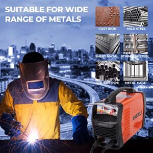 ANDELI 160A ARC Welder Inverter DC MMA Portable Welding Machine Kit IGBT Technology, 110V/220V Dual Voltage Hot Start Welding Machine Orange Plastic Case