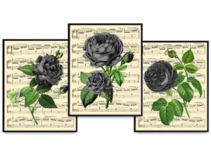 black roses gothic home decor - goth room decor - victorian wall decor - shabby chic wall art - retro vintage sheet music - posters pictures prints - gothic housewarming gifts for women- unframed