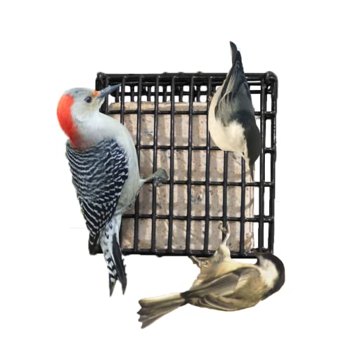 Suet Cake 12 Pack | Case of 12 Suet Cakes for Wild Birds (Woodpecker High Energy)