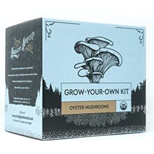 Hodgins Harvest Extra-Large Oyster Mushroom Grow Kit (7lbs) | USDA Certified Organic | Grow Your Own Delicious Gourmet Mushrooms at Home