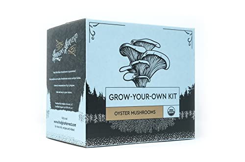 Hodgins Harvest Extra-Large Oyster Mushroom Grow Kit (7lbs) | USDA Certified Organic | Grow Your Own Delicious Gourmet Mushrooms at Home