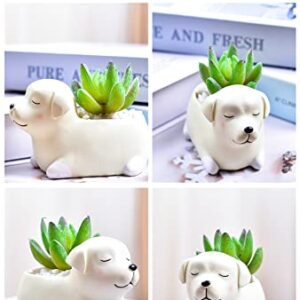 Cute Labrador Retriever Flower Pot with Drainer Garden Flower Pot Resin Succulent Potted Bonsai Plant Stand Home Desk Mini Decoration Balcony Gardening Flower Pot Does Not Contain Plants