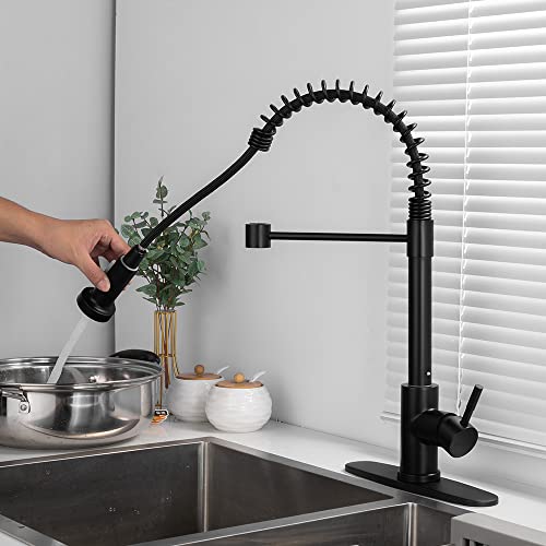 KETIPED Multifunction Matte Black Spring Arched Single Handle Kitchen Sink Faucet SUS 304 Stainless Steel Kitchen Faucet with Pull Down Sprayer and Fixed Rod,SLT-002MB