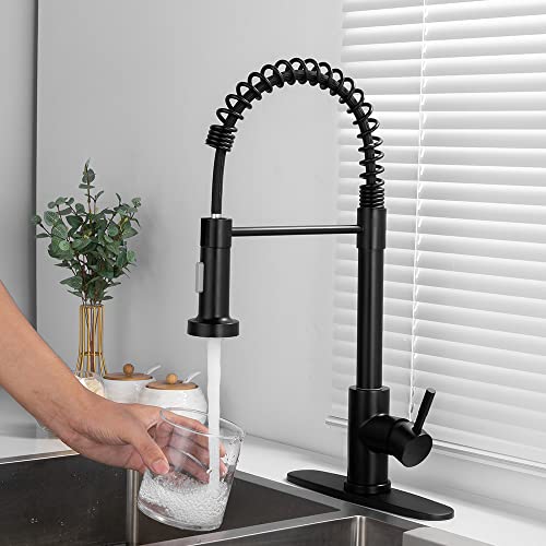 KETIPED Multifunction Matte Black Spring Arched Single Handle Kitchen Sink Faucet SUS 304 Stainless Steel Kitchen Faucet with Pull Down Sprayer and Fixed Rod,SLT-002MB