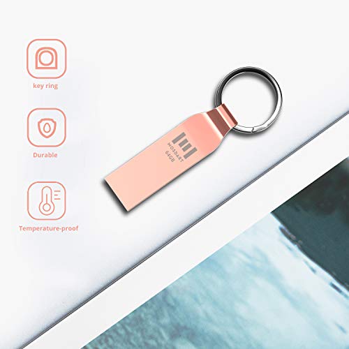 MOSDART 64GB Metal USB 2.0 Flash Drive 2 Pack exFAT Thumb Drive with Keychain 64 GB Waterproof Jump Drive 64G Memory Stick for Data Storage and Backup, Rose Gold