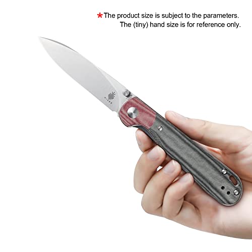 Kizer PPY EDC Knife, 3.3" 154CM Steel Blade and Micarta Handle Folding Knife for Everyday Carry, V3587C1