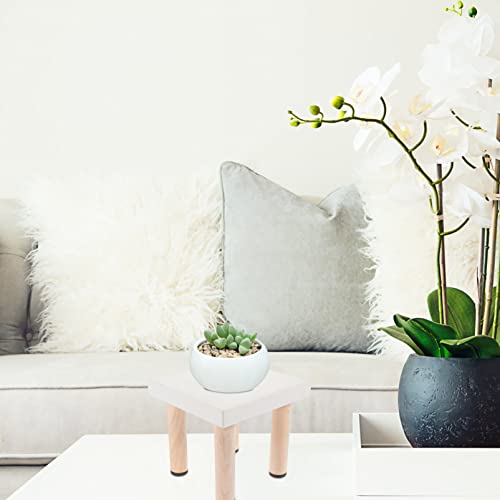 Yardwe 1pc Solid Wood Small Flower Stand Wooden Flower Shelf Garden Plant Pot Riser Succulent Planter Holder Cat Outdoor Planter Stand Bonsai Holder Heavy Office Small Plant Stand White