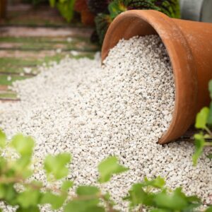 Organic Perlite for Plants, Soil Amendment for Enhanced Drainage and Growth, Ideal for Potting Mixes (1 Quart)