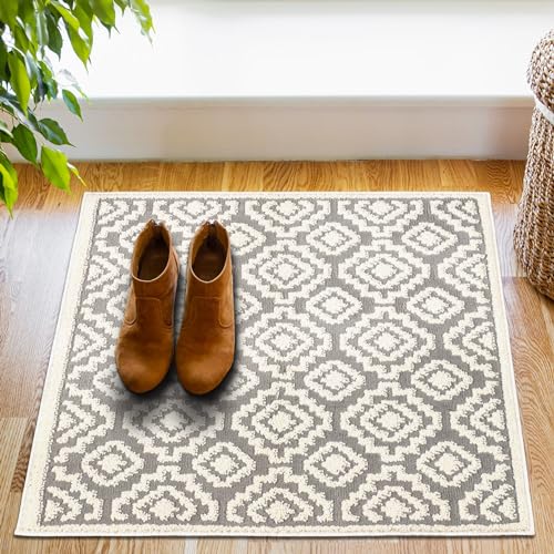 The Sofia Rugs Entryway Rug - Absorbent Door Mat Indoor with Non-Slip TPR Backing - Dirt Trapping Washable Indoor Doormat - Perfect Indoor Door Rug for Dogs, Kids, and High Traffic Areas