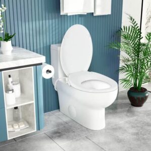 Bidet Toilet Seat Elongated,Non-Electric Bidet Seat,Toilet Water Spray,Bidet Attachment for Toilet Dual Nozzle with Self Cleaning, Adjustable Water Pressure, White - Slow Close Toilet Cover