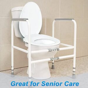 Bidet Toilet Seat Elongated,Non-Electric Bidet Seat,Toilet Water Spray,Bidet Attachment for Toilet Dual Nozzle with Self Cleaning, Adjustable Water Pressure, White - Slow Close Toilet Cover