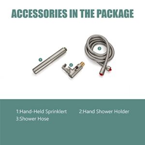 Heyalan Brass 2 in1 Function Handheld Spray Brushed Nickel Hand Shower High Pressure 7.9 Inch Shower Head High Flow Handheld Sprinklert Shower Wand with Shower Hose and Hand Shower Holder