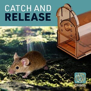 CAONA LLC Humane Mouse Trap - Set of 4 Humane Mouse Traps Indoor for Home [2X Green, 2X Brown] - Animal Friendly Live Mouse Trap -Mouse Traps - Set Includes a Cleaning Stick