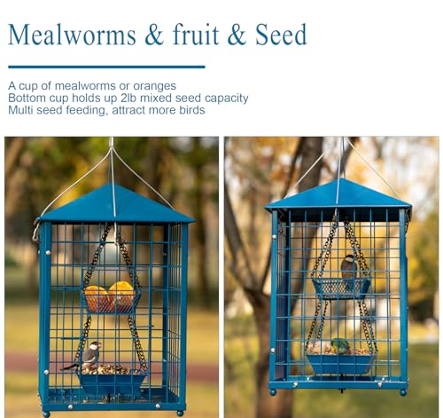 Mealworms Bird Feeders for Bluebirds - Metal - Huge Caged Squirrel-proof Bird Feeders with 2 Cups, DIY Wild Bird Feeders Outdoor Hanging (Blue), Attract Small Birds, 2lbs Seed Capacity+1 Mealworms Cup