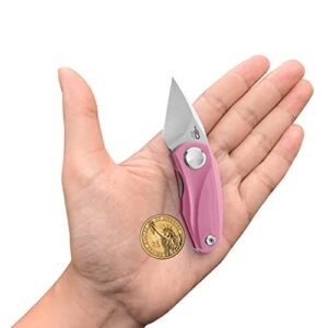 BESTECH KNIVES Pink Folding Pocket Knife: 1.53" 14C28N Steel Stain Stonewash Tanto Blade, G10 Handle, Front Flipper Liner Lock, EDC Gift for Wife Mother Sister (BG38E Pink)