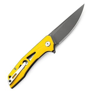 BESTECH KNIVES Folding Pocket Knife with Clip: 3.39" D2 Tool Steel Straight Back Gray Titanium Blade, G10 Handle, Flipper Liner Lock, Everyday Carry Gift for Men Women (BG23C Yellow)