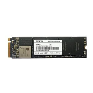 lanruo biwin 1tb m.2 nvme 2280 ssd internal ssd - gen3 x4 pcie 8gb/s,up to 2,400 mb/s (1tb storage)