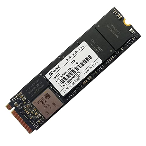 LANRUO BIWIN 1TB M.2 NVMe 2280 SSD Internal SSD - Gen3 x4 PCIe 8Gb/s,Up to 2,400 MB/s (1TB Storage)