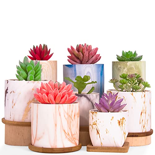 ARTKETTY Succulent Pots with Drainage, 8 Pcs Succulent Planters Pots with Bamboo Trays, Small Marble Cactus Planter Ceramic Flower Bonsai Pots for Indoor/Outdoor Decorative Garden Home Office