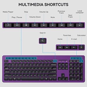 Wireless Keyboard and Mouse Combo, VIVEFOX 2.4GHz Cordless Quiet USB Keyboard Mouse, Full Size Ergonomic Keyboard Mouse with 14 Multimedia Hotkeys for Windows Laptop Computer Desktop, Purple