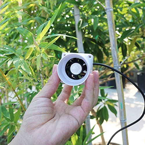 2 Inch Inline Duct Fan, 12V DC Bathroom Exhaust Fan Kitchen 6W Small Exhaust Blower for Office Hall Hydroponic Kitchen