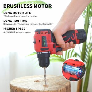 Small Cordless Drill - YEEFERM 12V Brushless Power Driver with 2 Batteries and Charger - Electric Drill 350In-lbs Torque,3/8" Keyless Chuck,2 Variable Speed,Lightweight for Drilling Wood Walls Metal