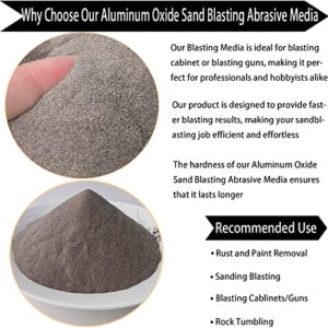 6 LBS #120 Aluminum Oxide - Fine Sand Blasting Abrasive Media for Blasting Cabinet or Blasting Guns (6 pounds-120 Grit)