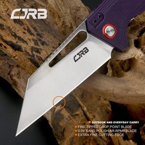 CJRB Folding Knives RUFFIAN (J1924-VT) AR-RPM9 Powder Steel Blade Violet Purple G10 Tactical Handle Pocket Folding Knife EDC Knife Designed by Dirk Pinkerton