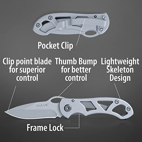 Maxam Folding Pocket Knife - Stainless Steel Blade, Handle, Frame Lock - Small Tactical Knife with Clip