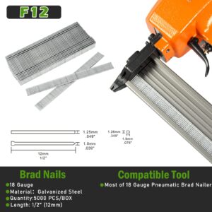 18 Gauge 1/2-Inch Brad Nails - 5,000 Count - F12 Galvanized Finish Nails for 18GA Brad Nailers