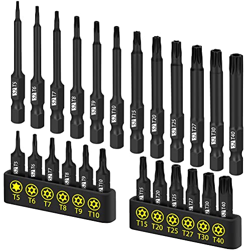 HORUSDY 24-Piece Tamper Resistant Star Bits, S2 Alloy Steel, 1" and 2.3" Long T5 - T40 Security Torx Bit Set.