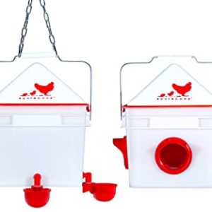 RentACoop Chick2Chicken 10lb Feeder & 2 Gal Waterer Set with Gravity Feed Refill & Auto-Fill Cups - BPA-Free Food & Water Buckets for Up to 20 Chicks or 12 Adult Chickens