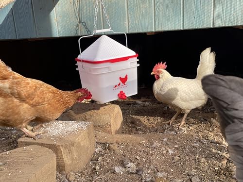 RentACoop Chick2Chicken 10lb Feeder & 2 Gal Waterer Set with Gravity Feed Refill & Auto-Fill Cups - BPA-Free Food & Water Buckets for Up to 20 Chicks or 12 Adult Chickens