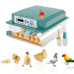 hethya pro16 eggs incubators for hatching eggs fahrenheit with automatic turner chicken incubators farm poultry incubators