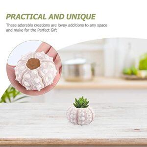 4Pcs Conch Shell Large Sea Urchin Plant Pot Sea Shells Air Plant Holder Bonsai Air Plant Planter Tillandsia Holde Display Container Beach Garden sea Urchin Shell Decoration air Plant Holder