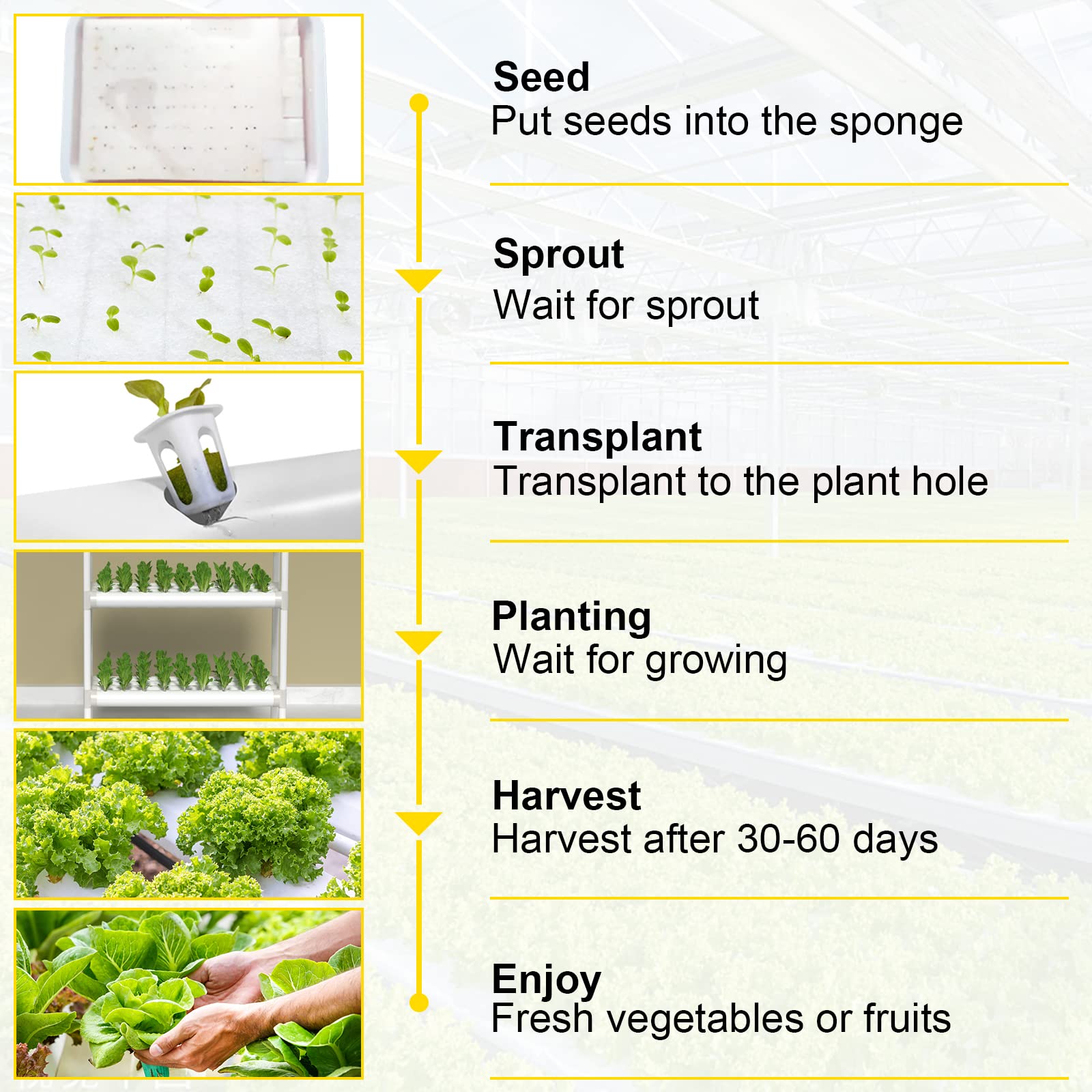 VEVOR Hydroponics Growing System, 36 Sites 4 Food-Grade PVC-U Pipes, 1 Layer Indoor Planting Kit with Water Pump, Timer, Nest Basket, Sponge for Fruits, Vegetables, Herb, White