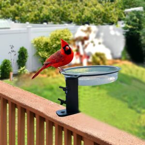 2pcs Plastic Round Bird Feeders Bowls, Wild Birds Seed Feeder Waterer Birdbath Accessories Feeding Station Tray for Goldfinch,Oriole,Hummingbird Ect