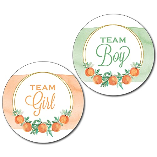 36 2.5-inch Sweet Peach Gender Reveal Party Team Boy and Girl Stickers