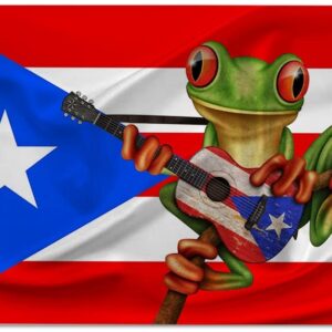 Puerto Rico Frog Pattern 3X5 Ft Flags with Brass Grommets,Funny Boricua Pride Indoor Outdoor Flags & Banner Sign