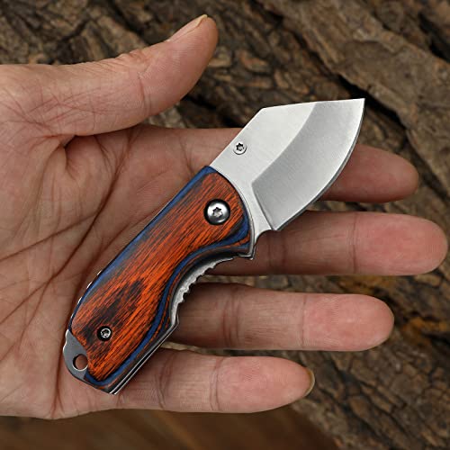 Dispatch Mini Folding Small Pocket Knife, Stainless Steel Sanding Blade and Steelhead EDC Tactical Tools with Colorful Wooden Handle, Everyday Carry, Unique Small Gift for Father-Mother Men Women